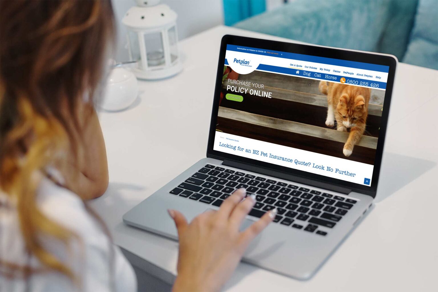 Compare Pet Insurance (2024 Deals & Guide)